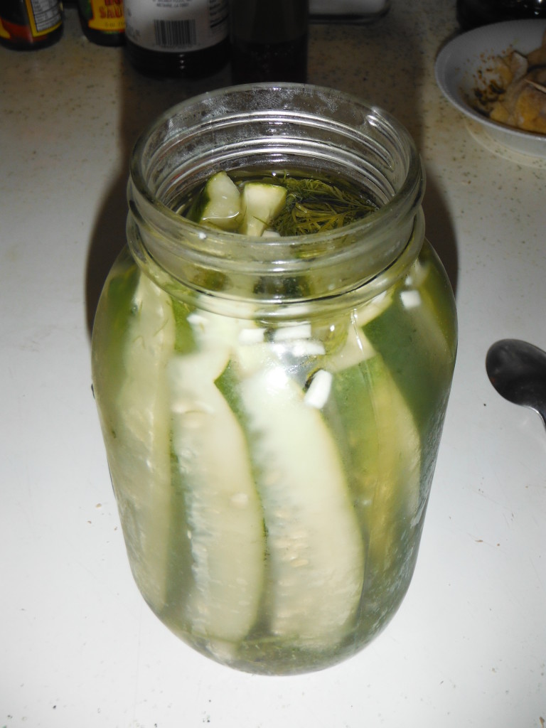 Refrigerator Pickles | Florida Hillbilly