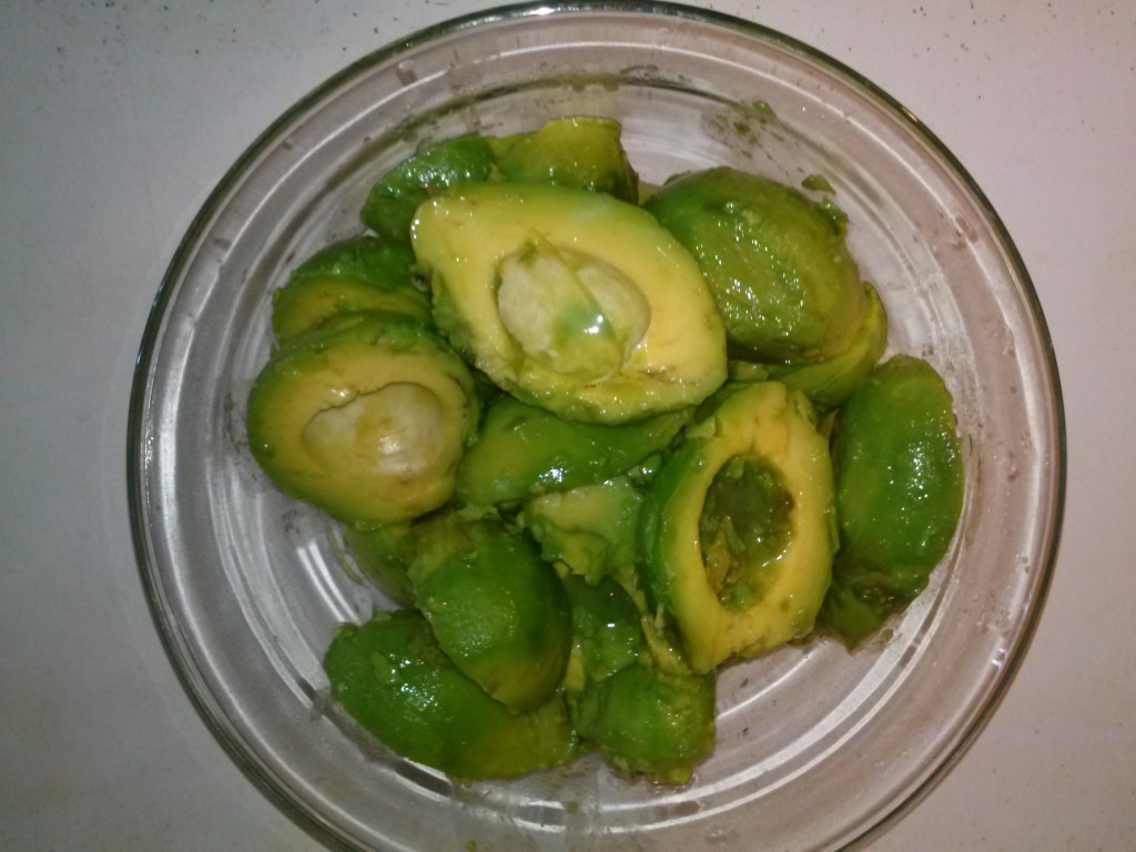 Preserving Avocados | Florida Hillbilly